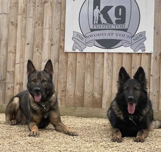 Protection Dog Advice From K9 Protector